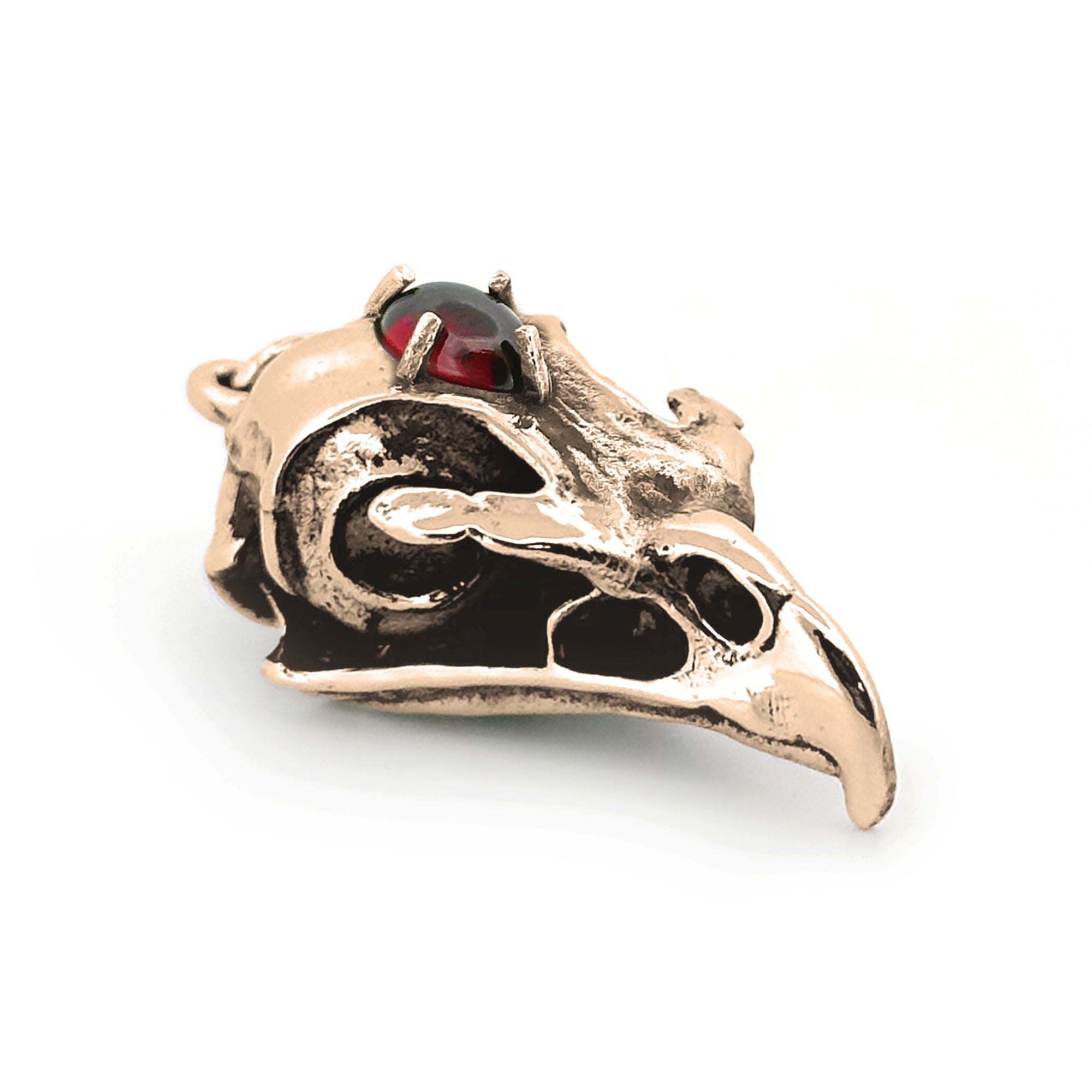 Gemstone Red-Tailed Hawk Skull Pendant by Fire & Bone