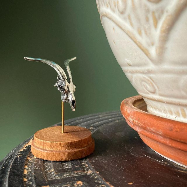 Natural history jewelry to wear and display! – Fire & Bone