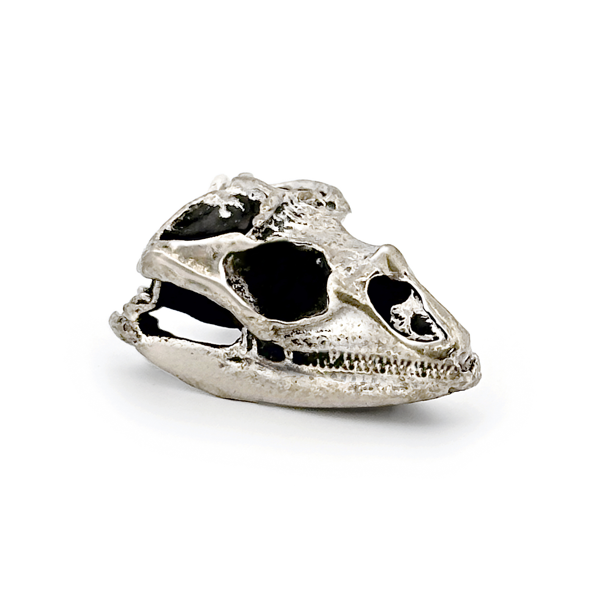 Rhinoceros Iguana Skull Pendant by Fire & Bone