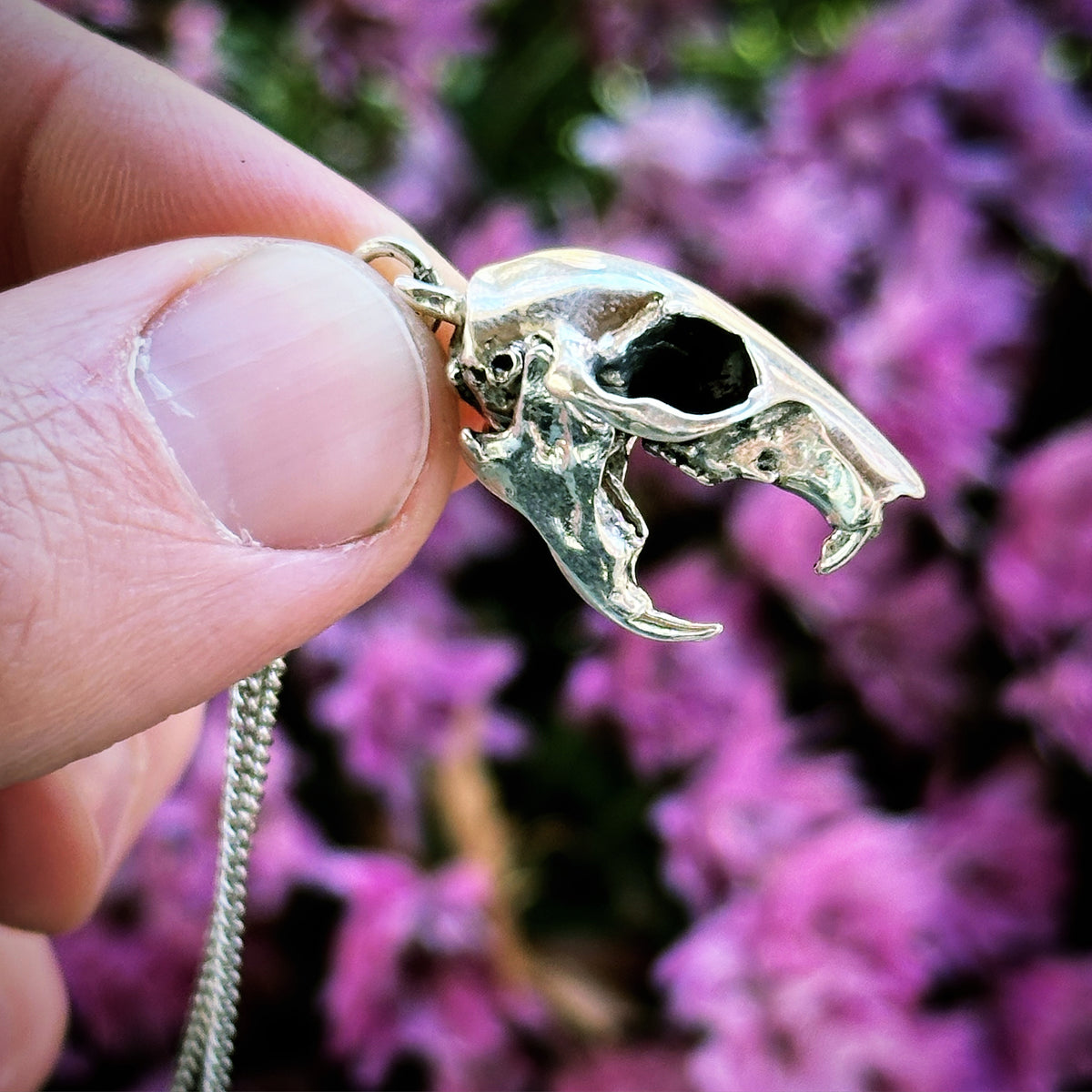 Gallery – Fire & Bone