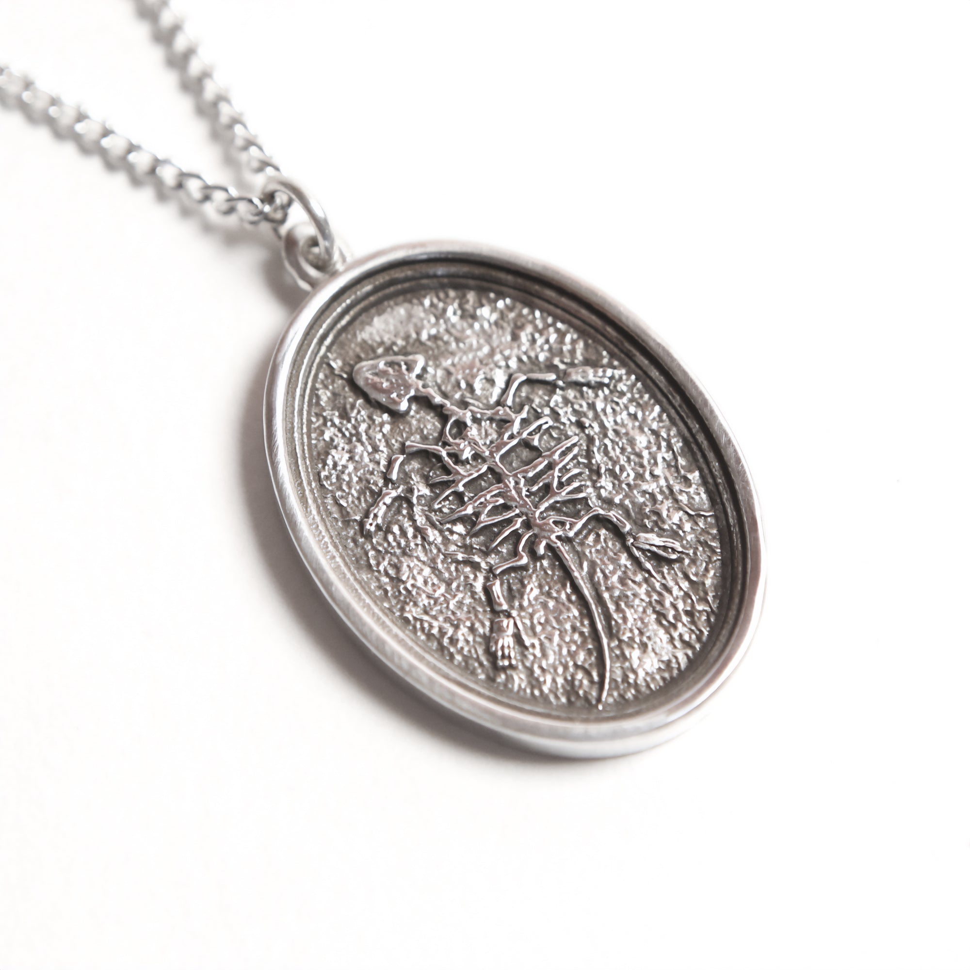 Fossil Turtle Natural History Jewelry Pendant by Fire & Bone