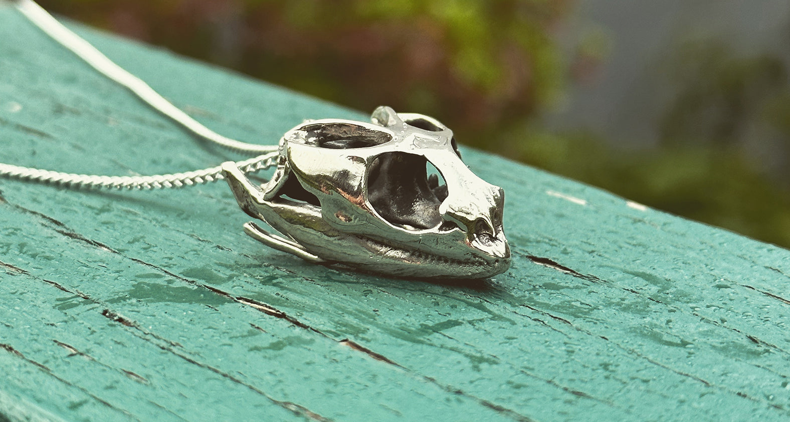 Gallery – Fire & Bone