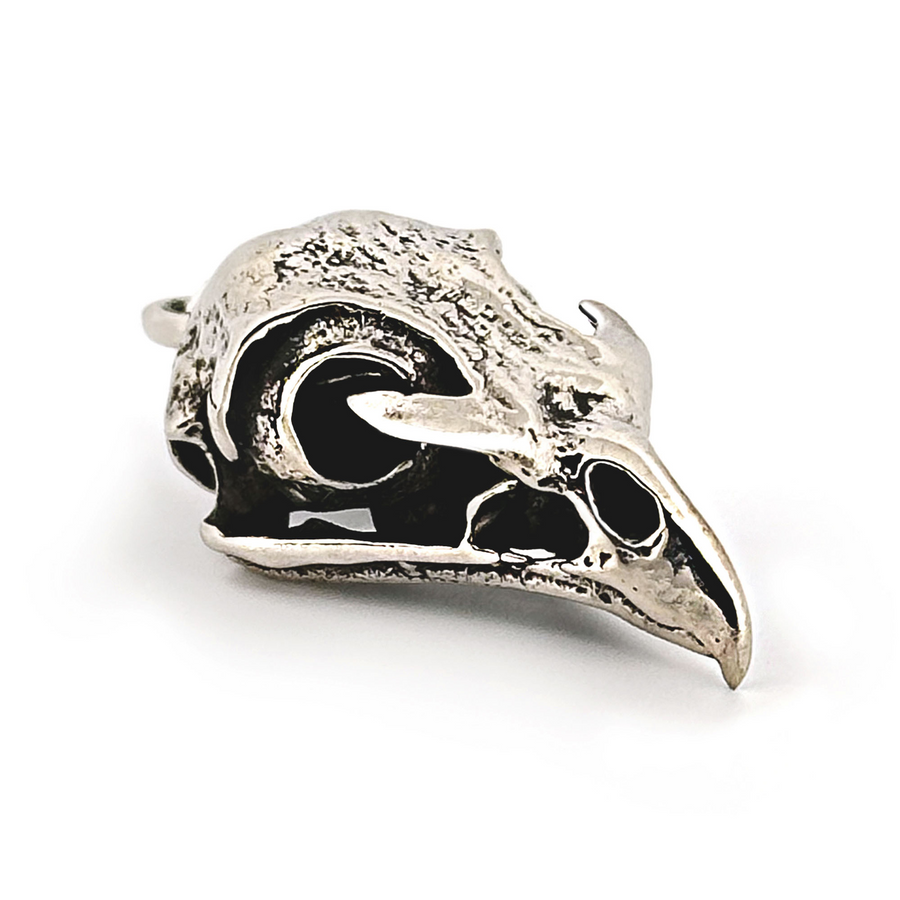 Red-Tailed Hawk Skull Pendant by Fire & Bone
