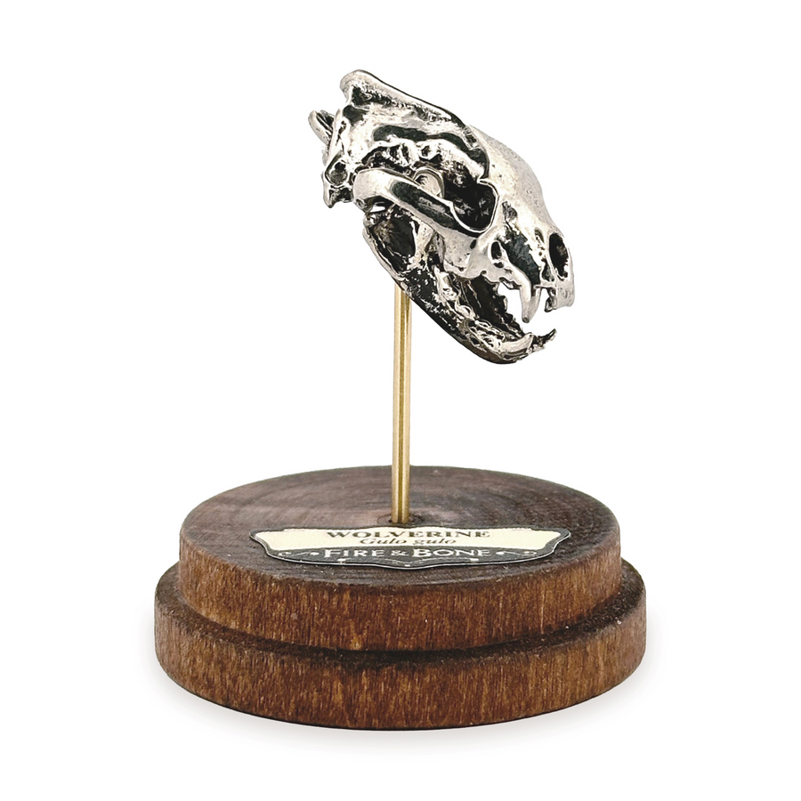 Wolverine Skull Pendant by Fire & Bone