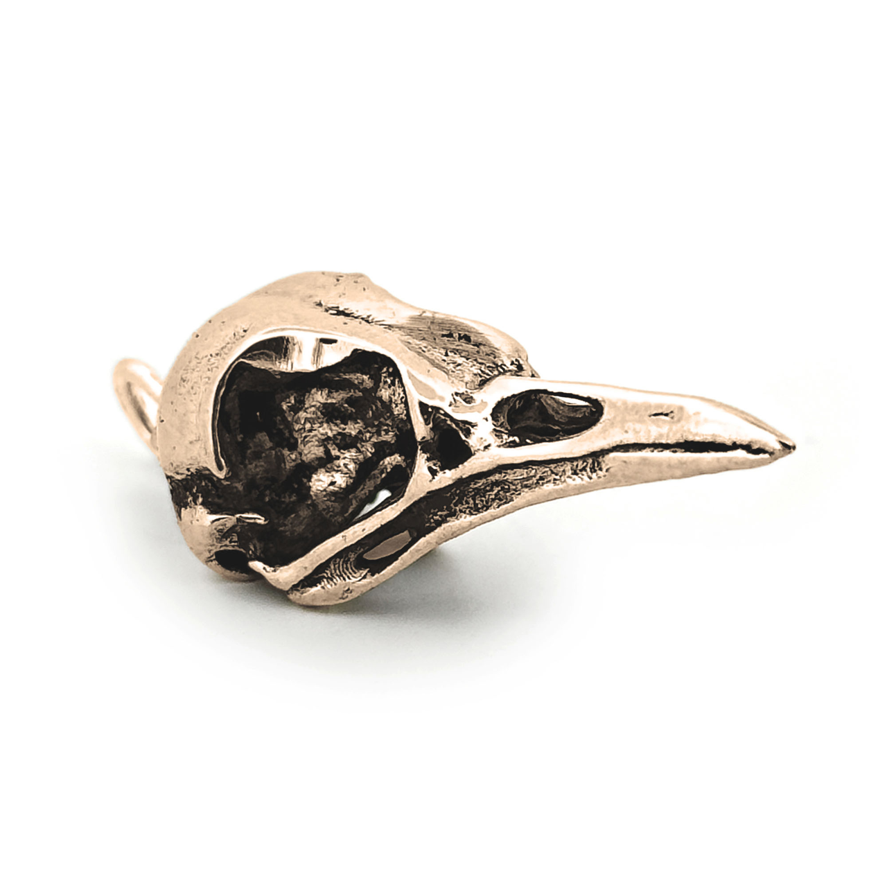 American Robin Skull Pendant by Fire & Bone