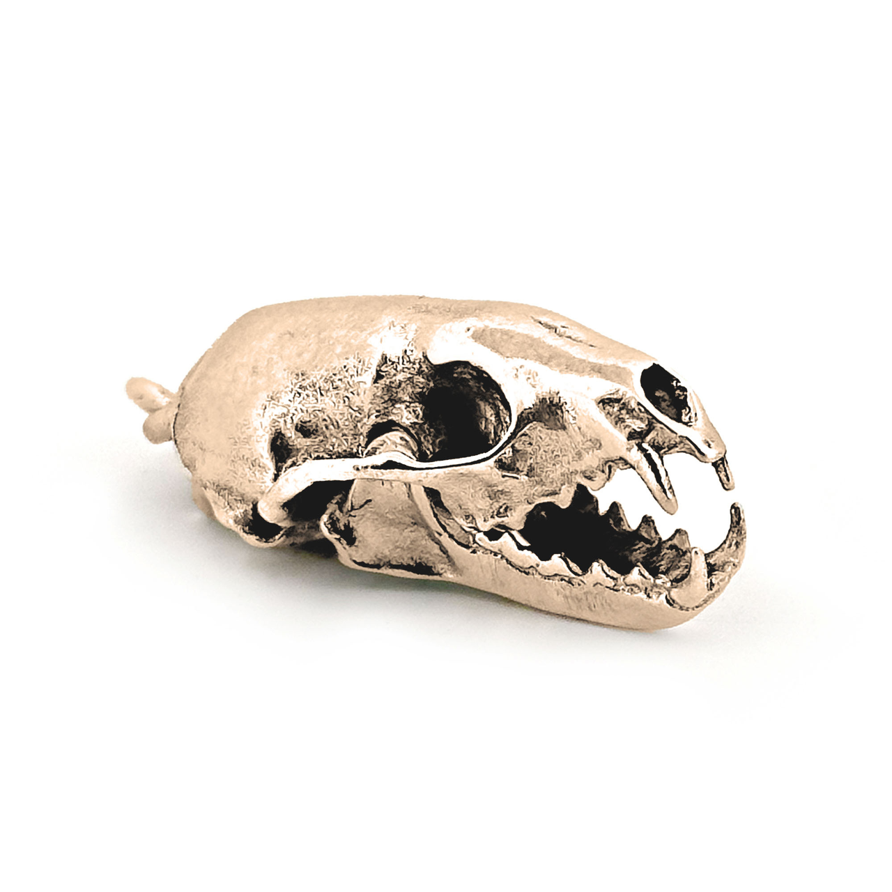 American Pine Marten Skull Pendant by Fire & Bone
