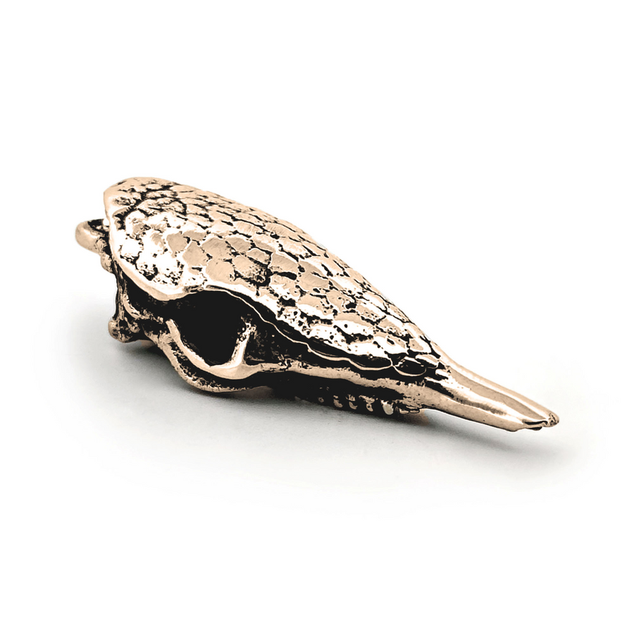 Nine-Banded Armadillo Skull Pendant by Fire & Bone